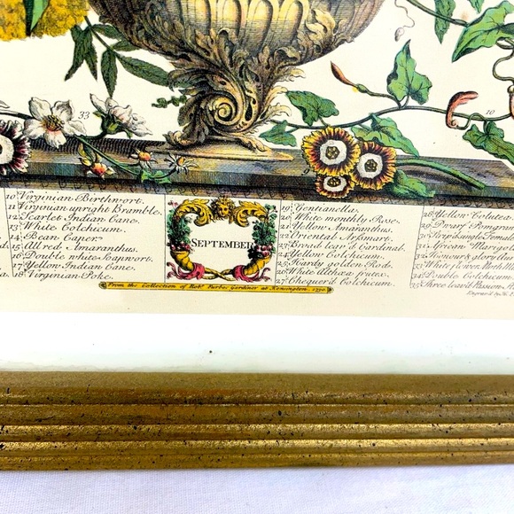 robert furber | Art | Vintage Robert Furber Flowers Of September Floral ...